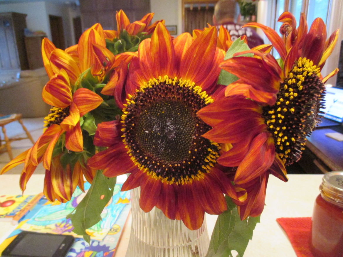 Yes. No. Wait. | He Remembers the Barren